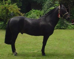 Con lanzamiento de un libro se celebraron los 120 años del registro ...