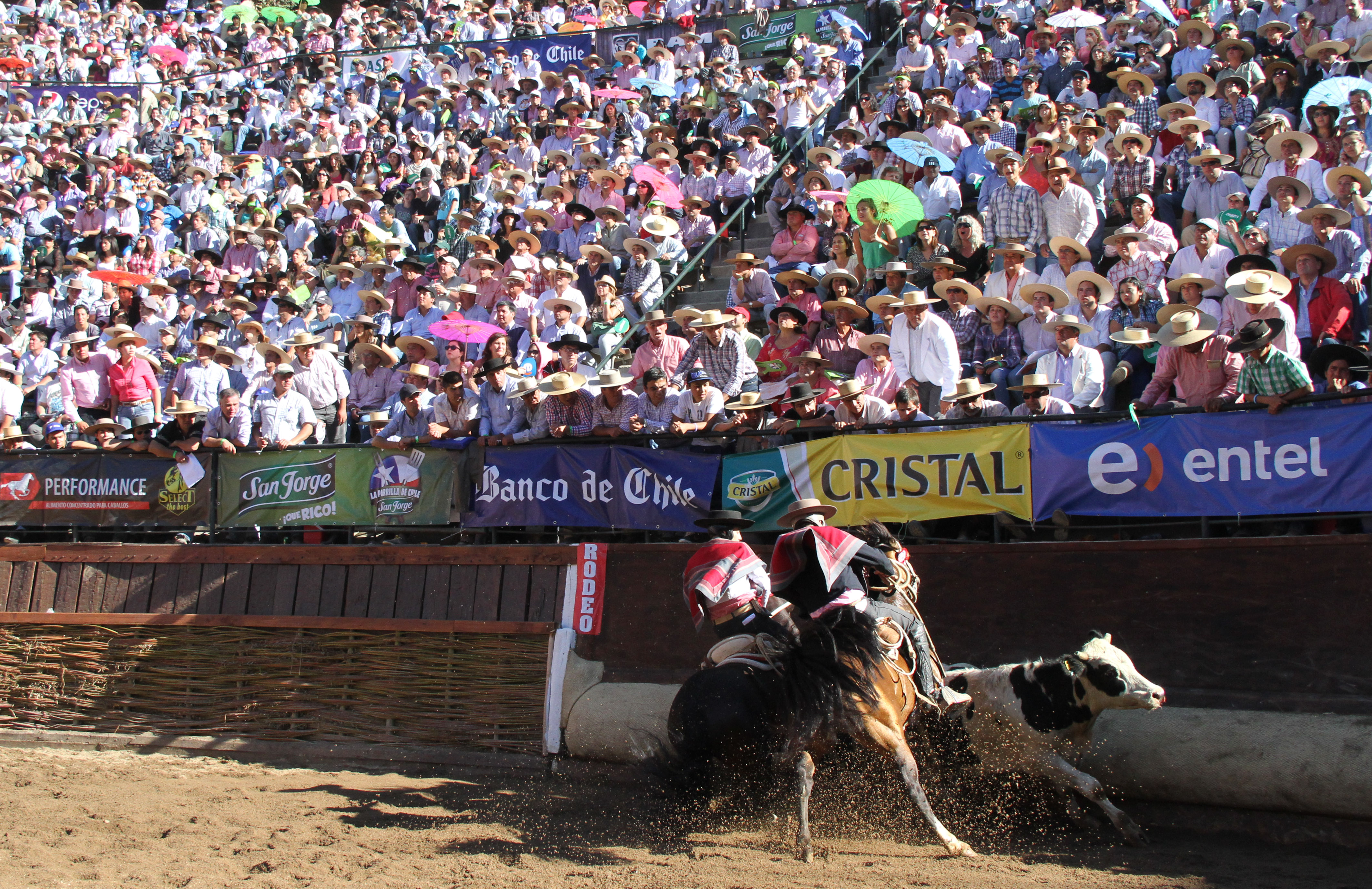 Presidente Federación de Rodeo: “La Medialuna lucirá impecable para el ...
