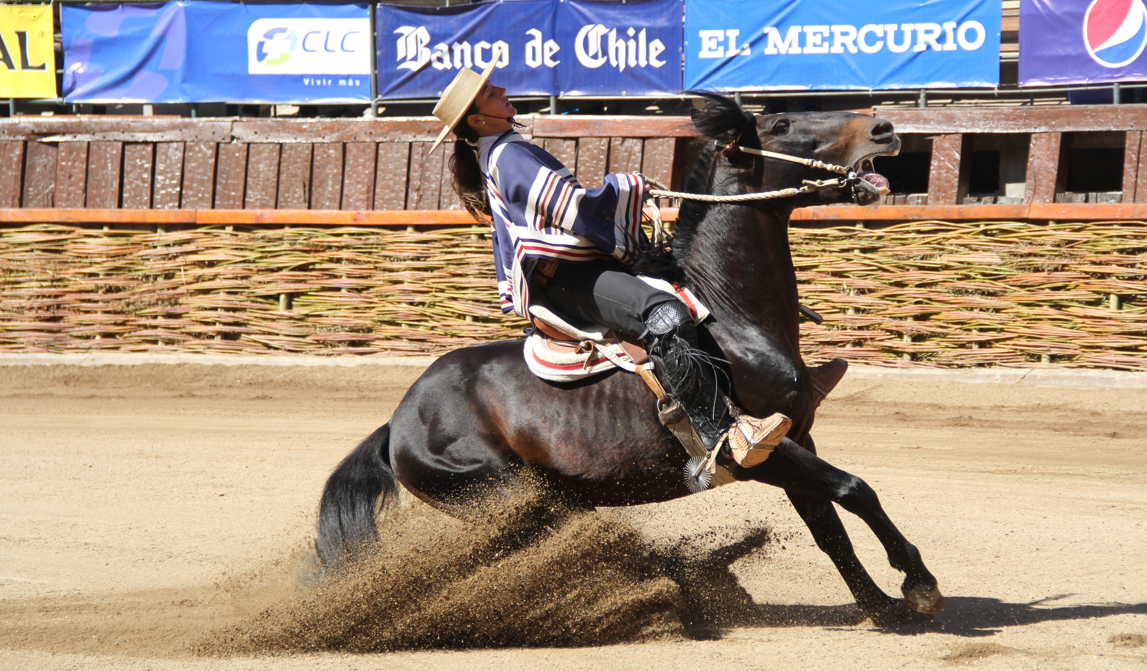 Movimiento de la Rienda se llevará todas las miradas el domingo