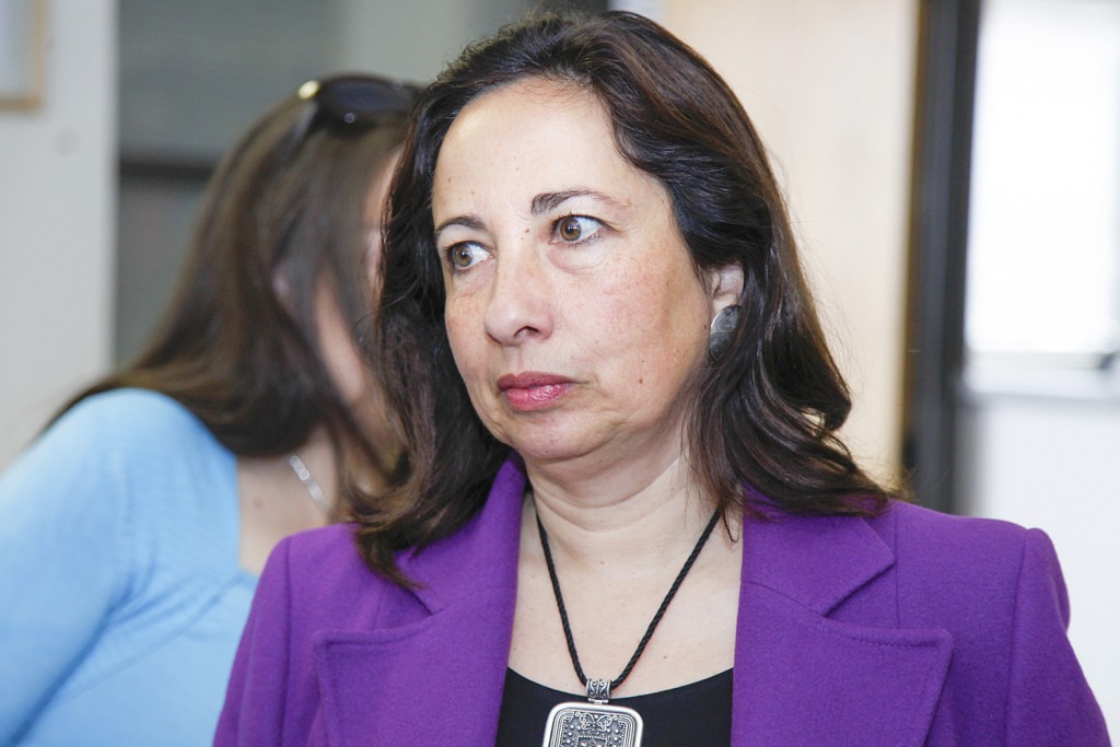 El Tipógrafo » Diputada Alejandra Sepúlveda: “Hoy no tenemos este ...