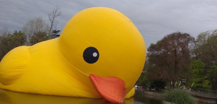 [FOTOS]Los memes que dejó muerte del gigantesco pato de hule en la ...