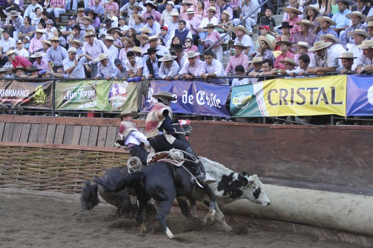 Presidente del Rodeo Chileno y los planes para el ‘Champion ...